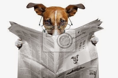 Perros Vs Motos? - Moto Revista CR