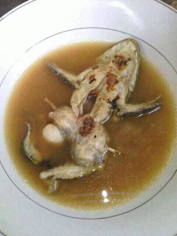 NIGERIAN DOCTORS RECOMMEND FROG MEAT PERPER SOUP AS AN ALTERNATIVE CURE ...