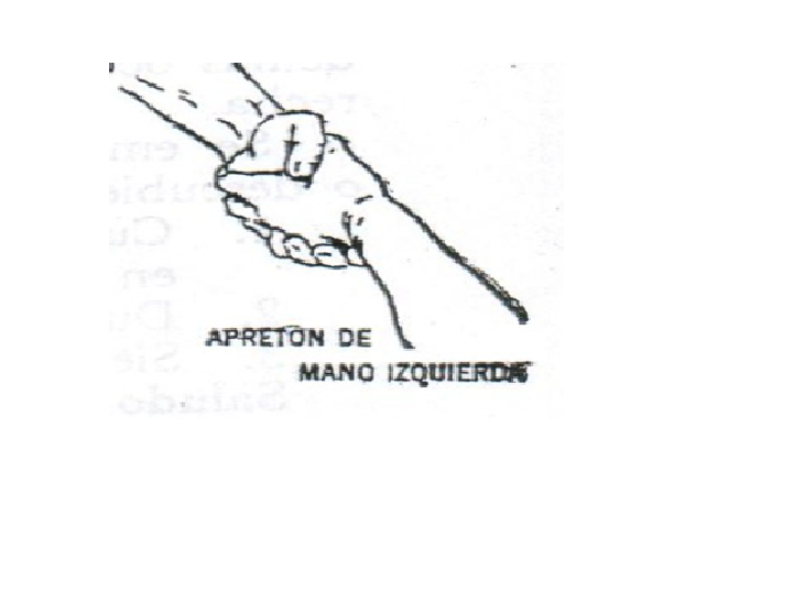 Grupo Scout Bellavista 279: TROPA- MANUAL DE INSIGNIA