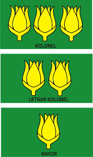 Tanda Pangkat TNI AD AL AU - TozSugianto