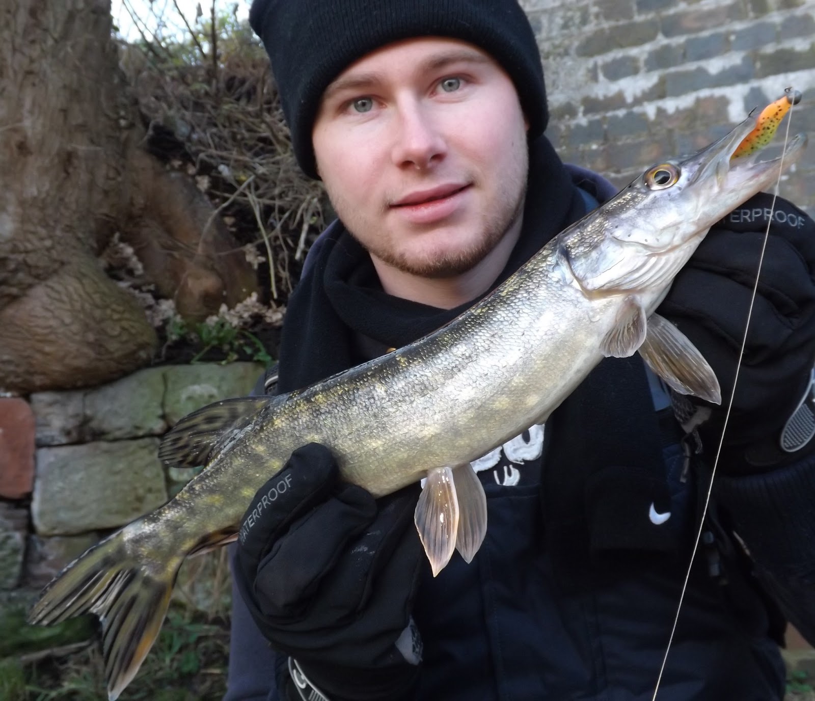 Mission Impossible : To catch 100 species of saltwater fish from ...