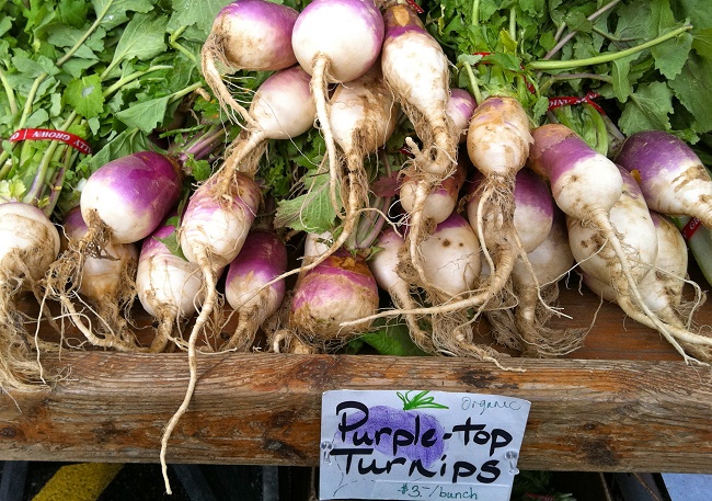 HOW TO GROW TURNIPS FROM SEED |The Garden of Eaden