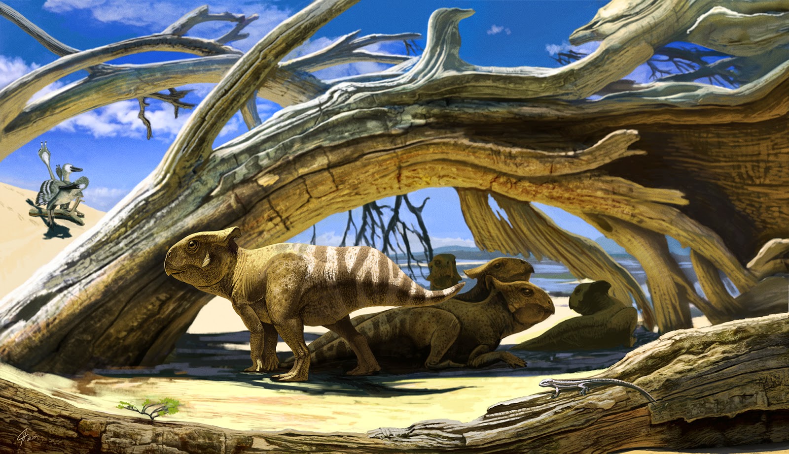 DinoArt: Protoceratops take shelter