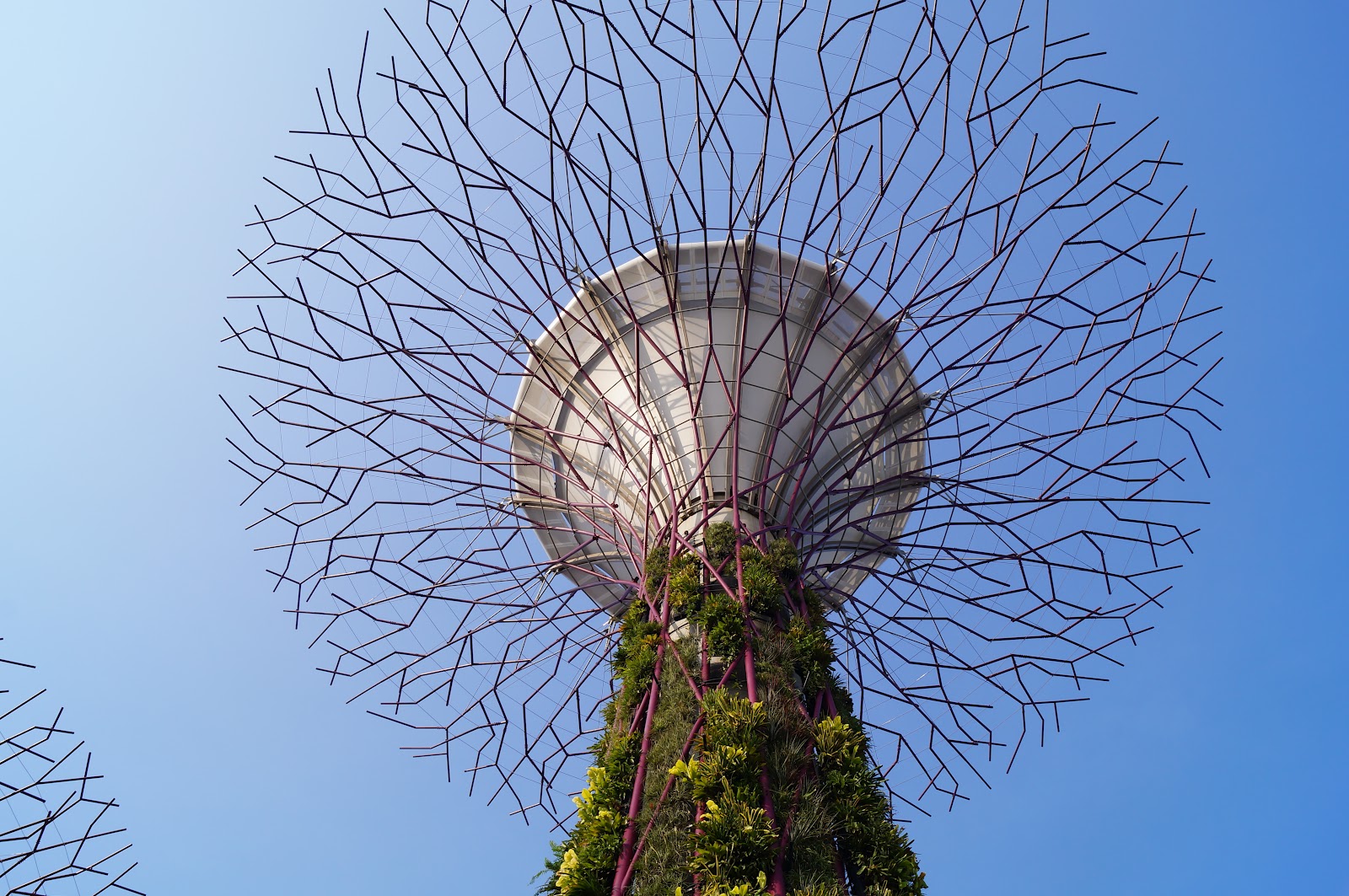 Sasi: Gardens by the Bay,Singapore -III (The Super Trees)