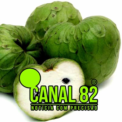 Augusto Campos | Luanda: A graviola ou graviola (sapi sapi em angola ...