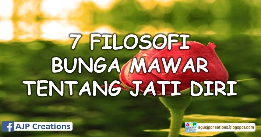 Inspirasi Baru Filosofi Tentang Bunga Mawar