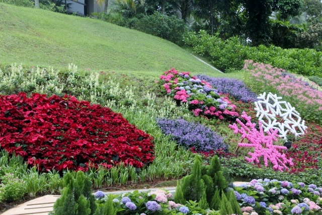 Expat Kiwis: Sentosa Flowers 2013