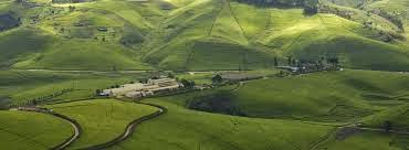 Vigo Tours Rwanda: museum enviroment in karongi