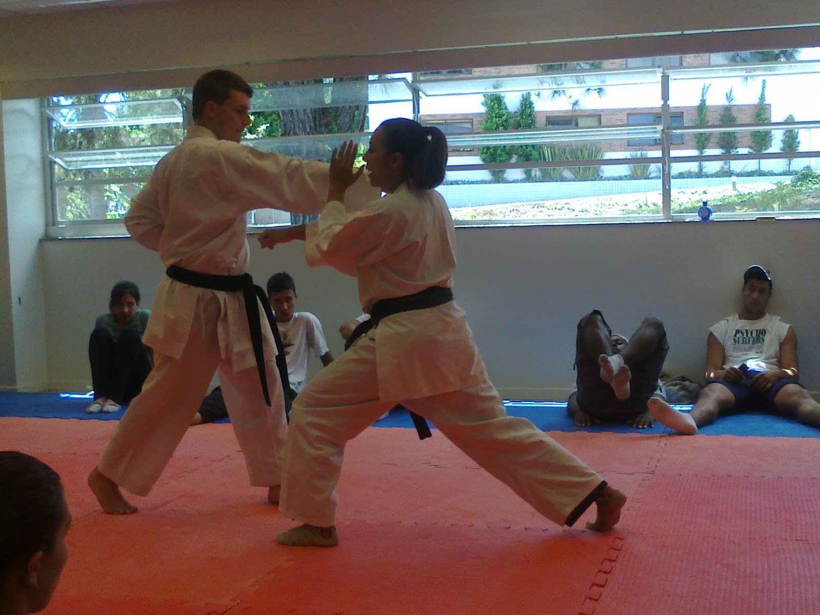Lutas - Faculdade Dom Bosco: 3° Aula de Karate