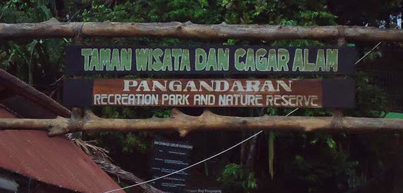 Panorama A La Plage: Cagar Alam Daily Tour Pangandaran