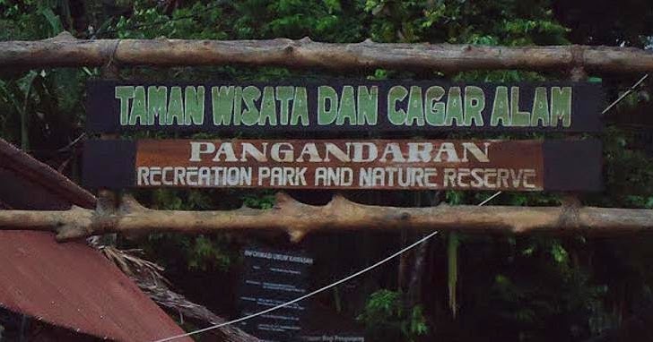 Panorama A La Plage: Cagar Alam Daily Tour Pangandaran