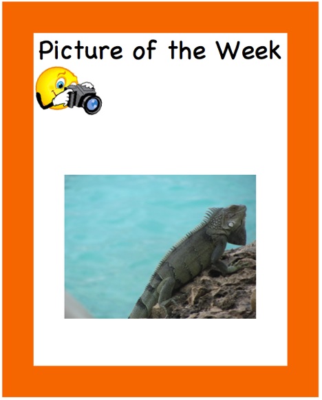 2 Happy Teachers: Picture of the Week