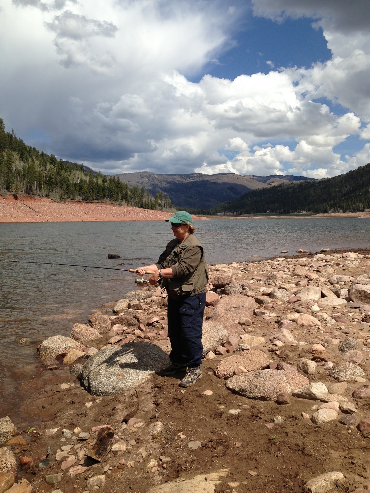 Elizabeth's Visions and Ramblings