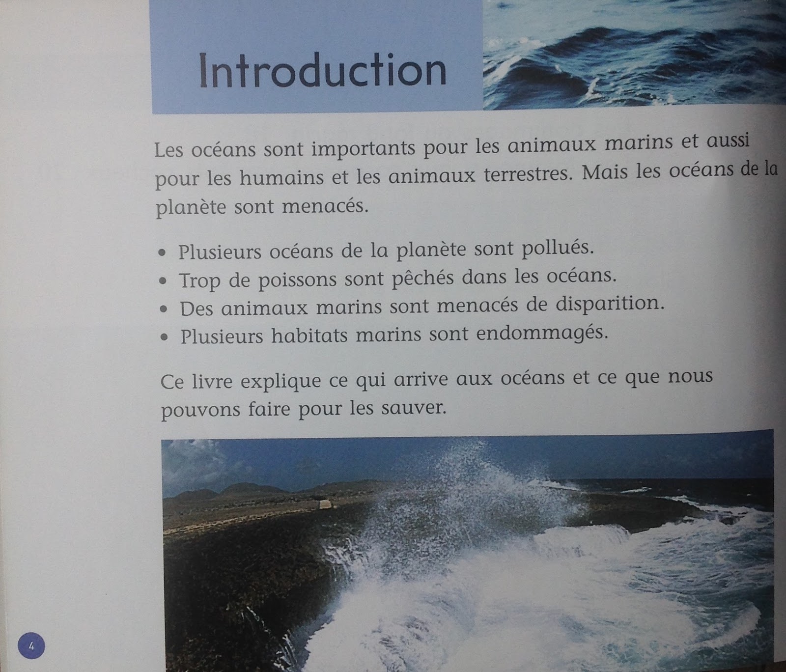 Les textes informatifs en classe: 5 collections indispensables