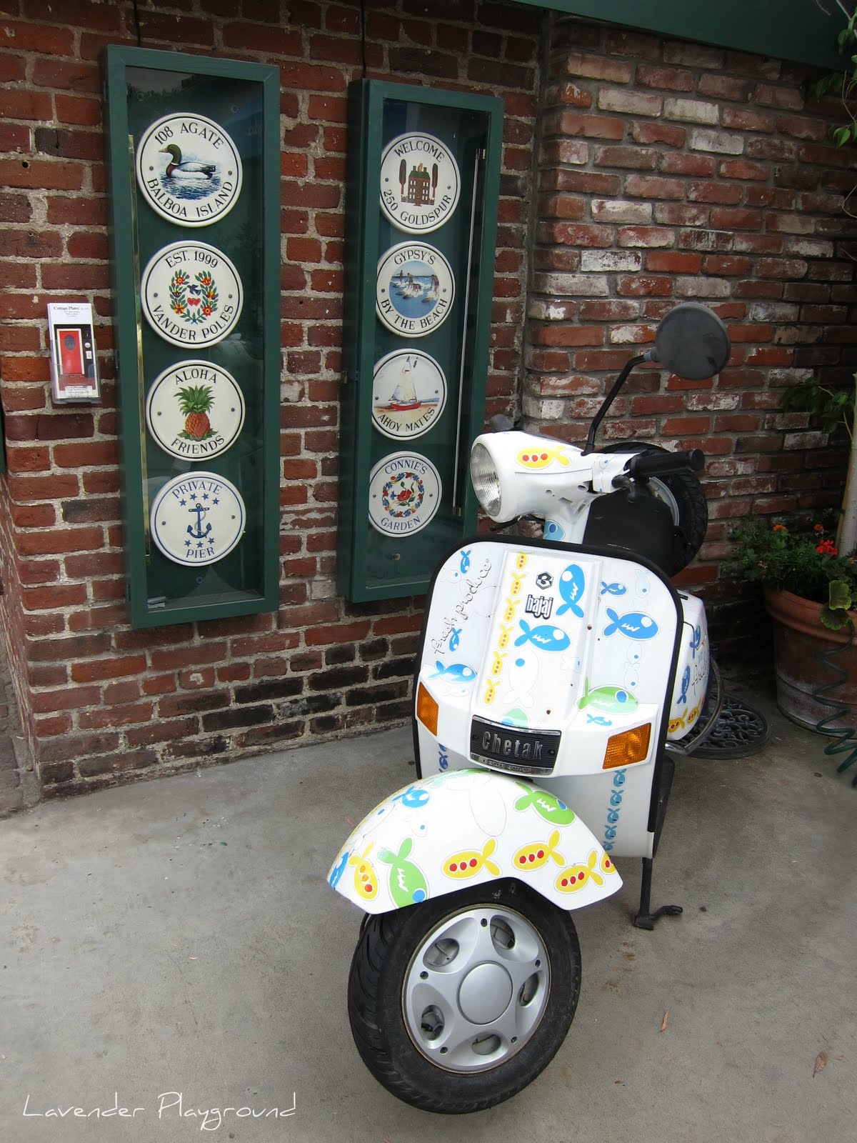 Lavender Playground: Balboa Island