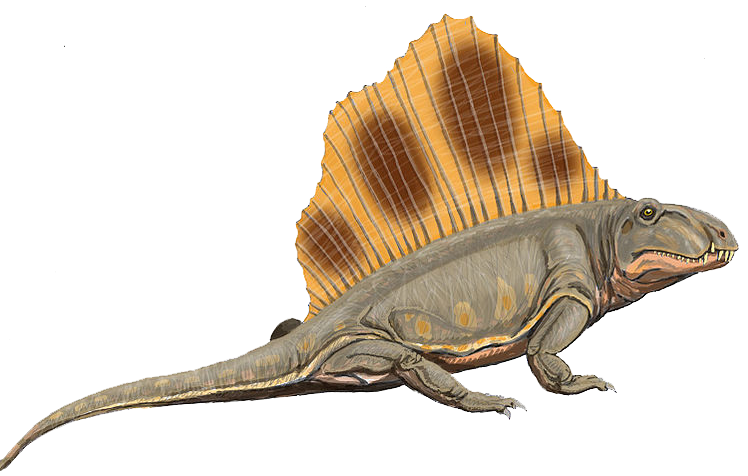 The Expeditioner's Discovery Guild: A little bit of Everything: Paleo ...