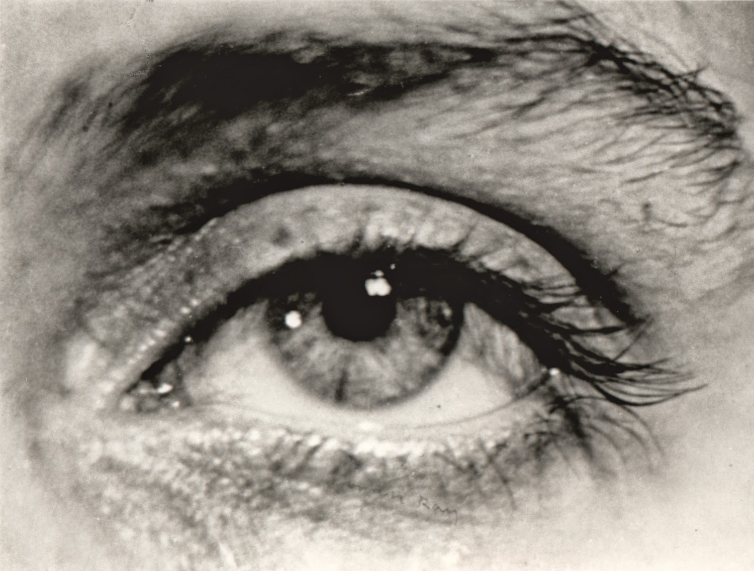 Totum Revolutum: mayo 2015