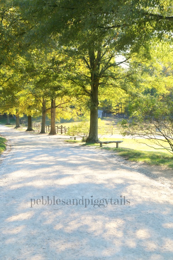 Lisa Jorgensen Photography | Making Life Blissful