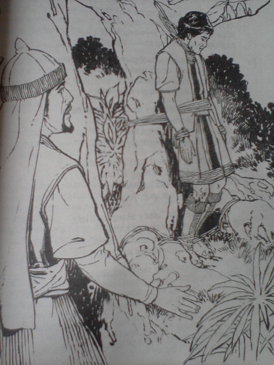 Menandro Sa Florante At Laura Drawing
