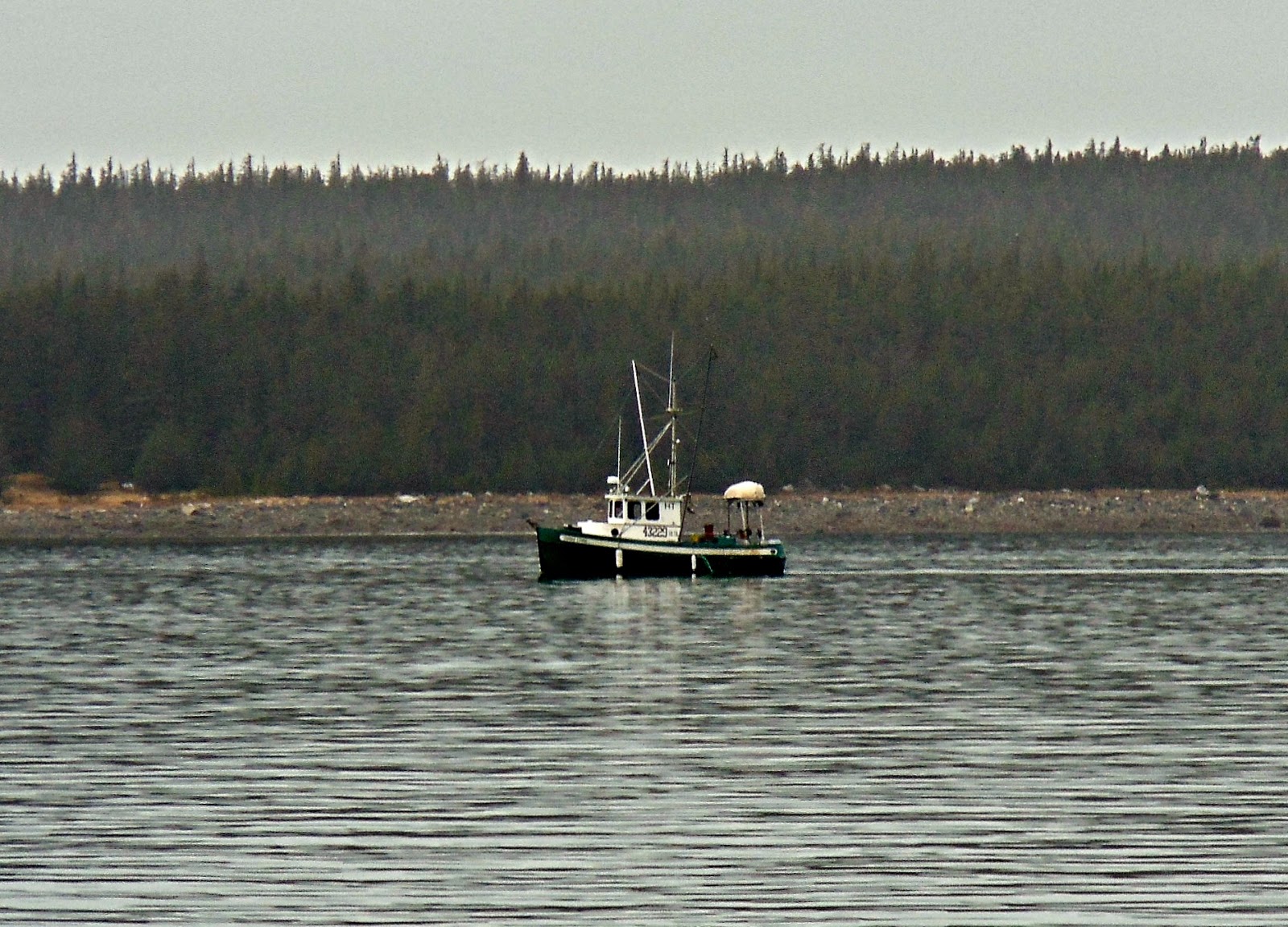 Sandra's Alaska Photography: Boats