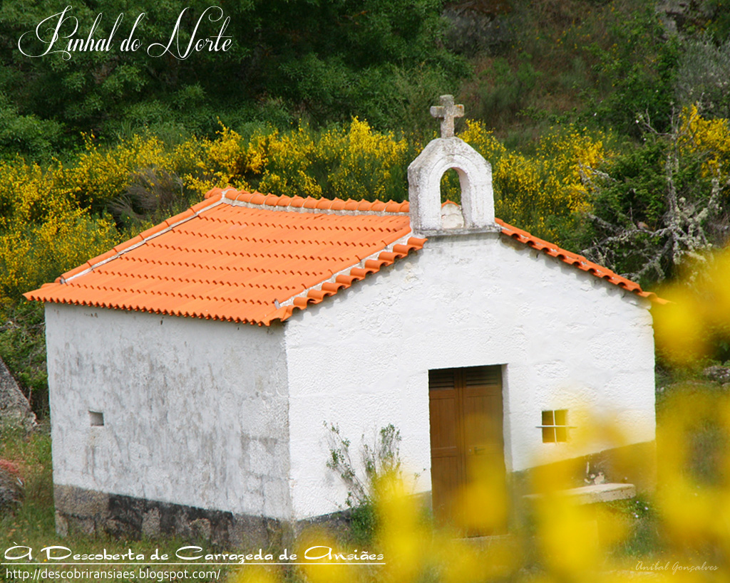 À Descoberta de Carrazeda de Ansiães: Capela de S. Marinha - Pinhal do ...