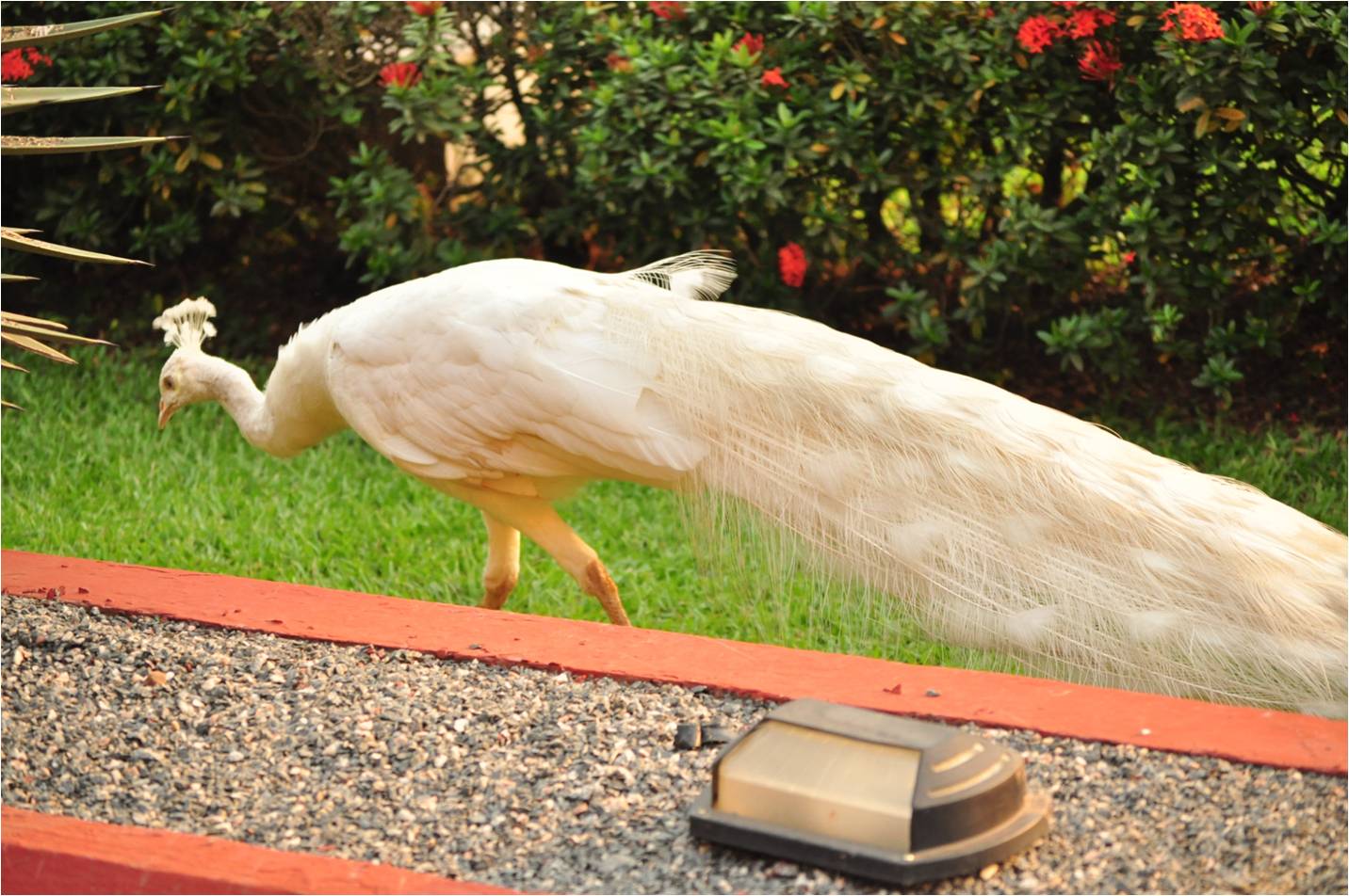 Nigerian art at Oyasaf: Yemisi Shyllon, Africa’s Greatest Art Connoisseur