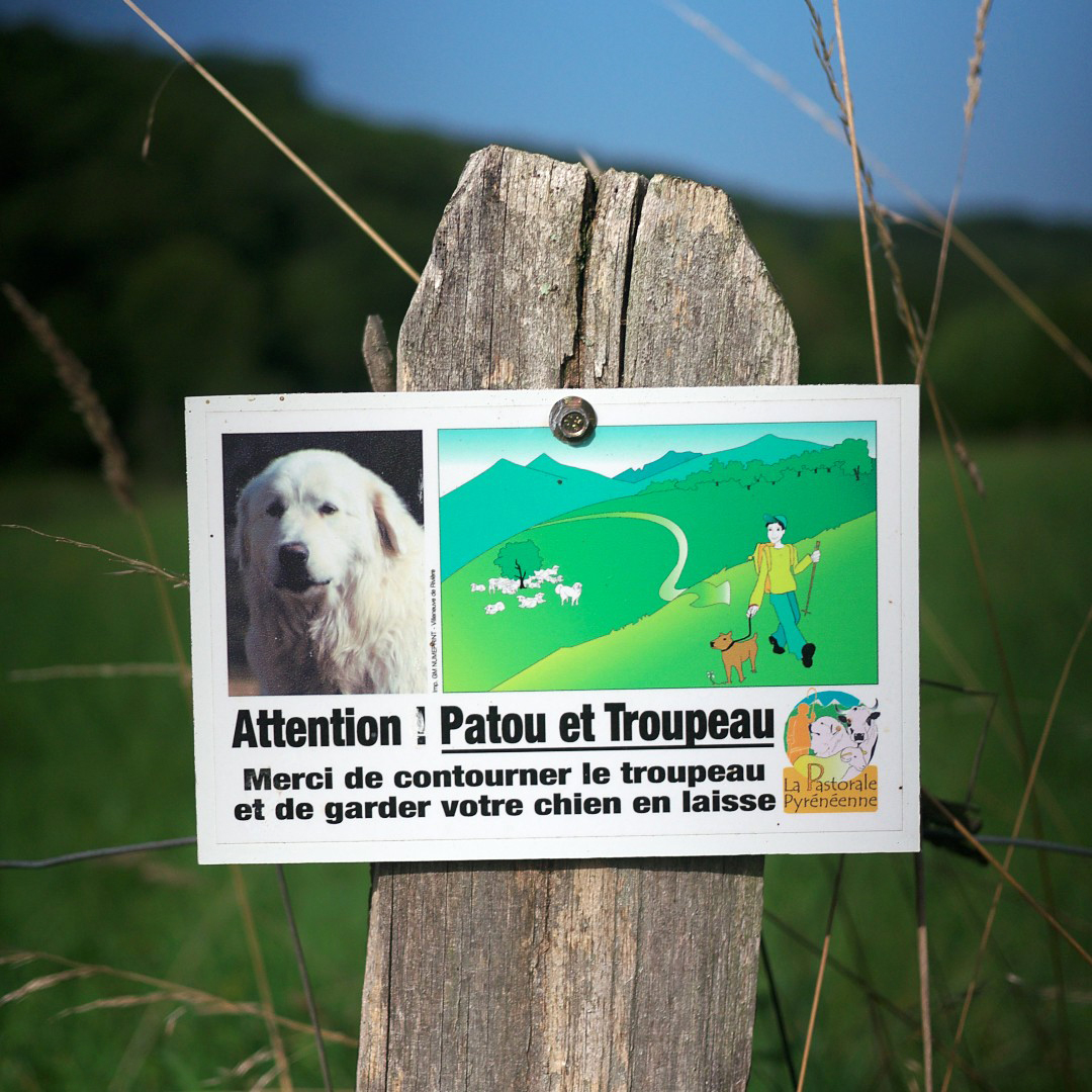 Photo Claude Degoutte