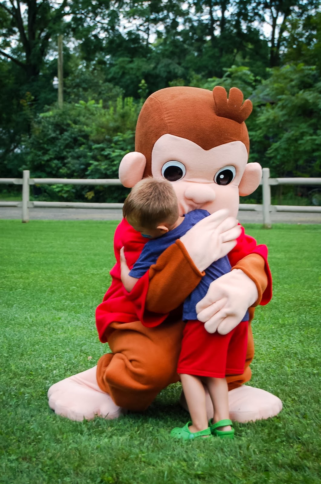 The Buddy Bee Makes Three: Buddy Bee Meets Curious George