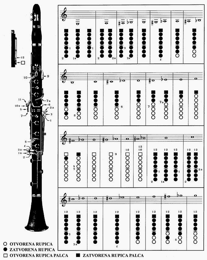 | KLARINET |: PRSTORED NA KLARINETU