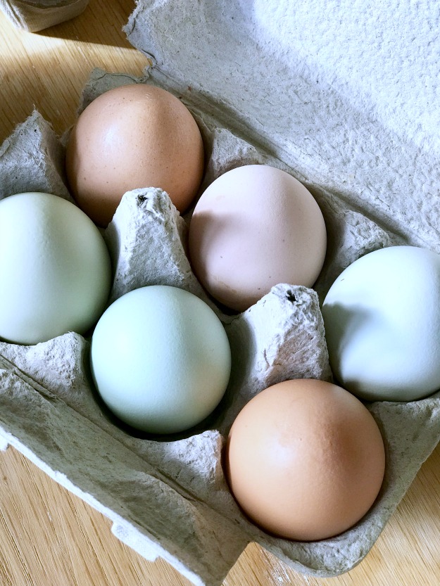 Little Farmstead: Farm Fresh Eggs & Custom Egg Carton Stamps...