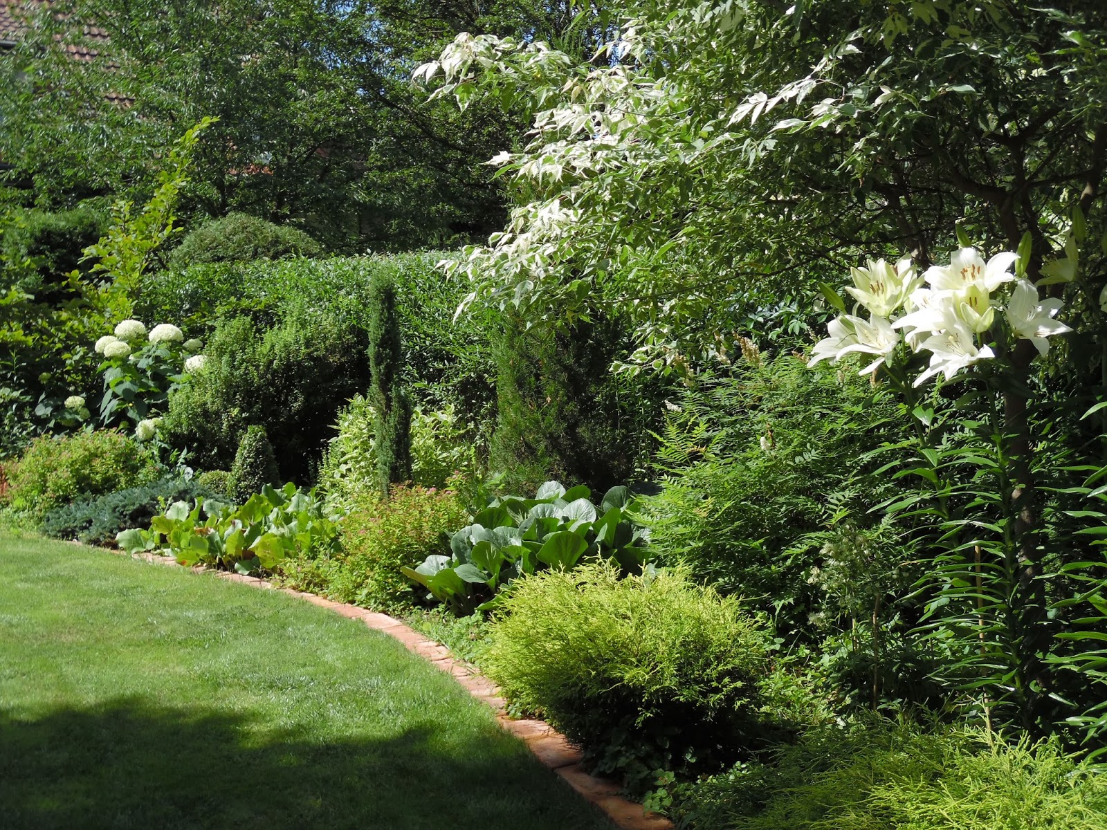 Ogród Tamaryszka: DŁUGA RABATA