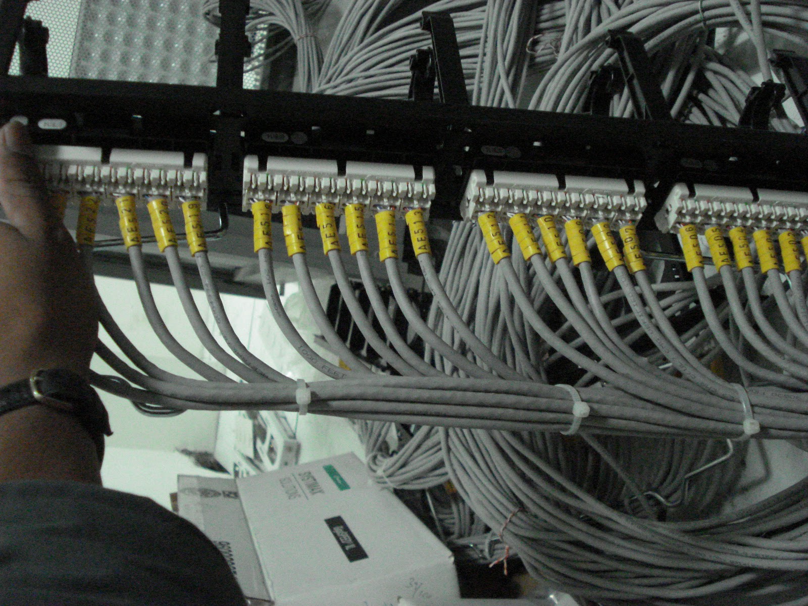 Idealsite Technologies (NT) Private Limited: Cable Laying & Termination