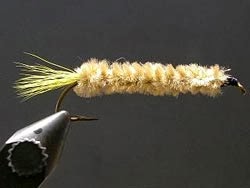 Fly Tying: Maple Syrup Fly 8 Step