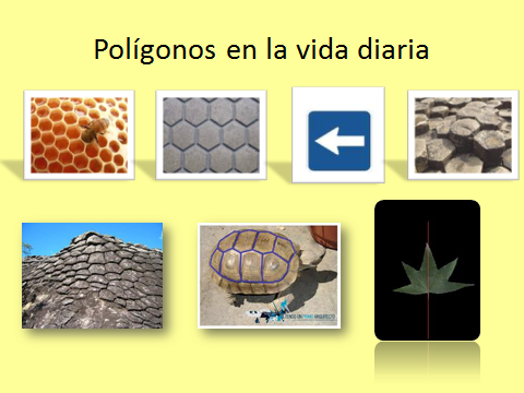 LA VENTANA DE 4º: LOS POLÍGONOS