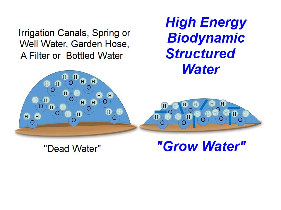 High Energy Biodynamic Structured Water: Importance of Structured Water