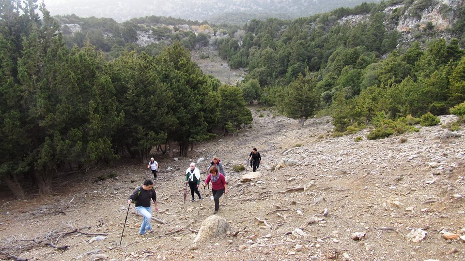 EXPLORE MOUNTAINS: ΣΤΟ ΚΥΠΑΡΙΣΣΟΔΑΣΟΣ ΚΡΙΤΣΑΣ ΓΙΑ ΤΗΝ ΠΑΓΚΟΣΜΙΑ ΗΜΕΡΑ ...