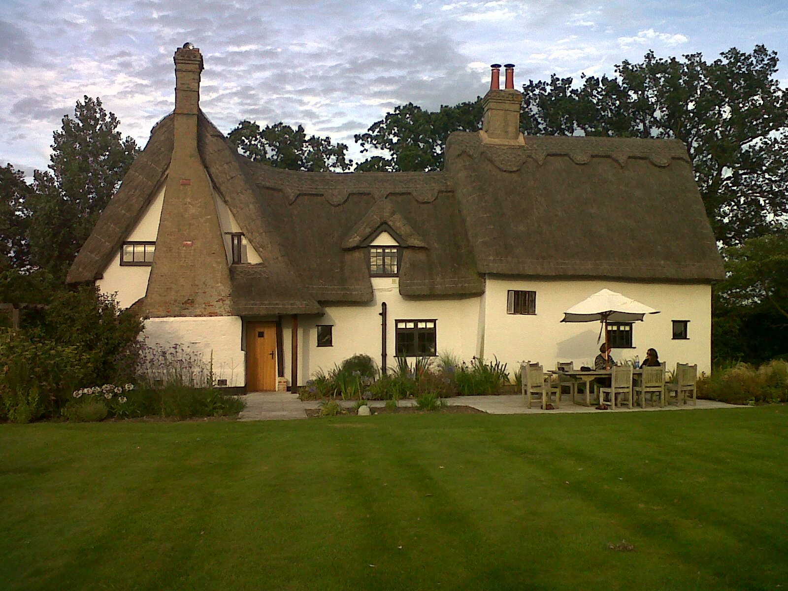 Eric's Online Diary: Save the Suffolk newts