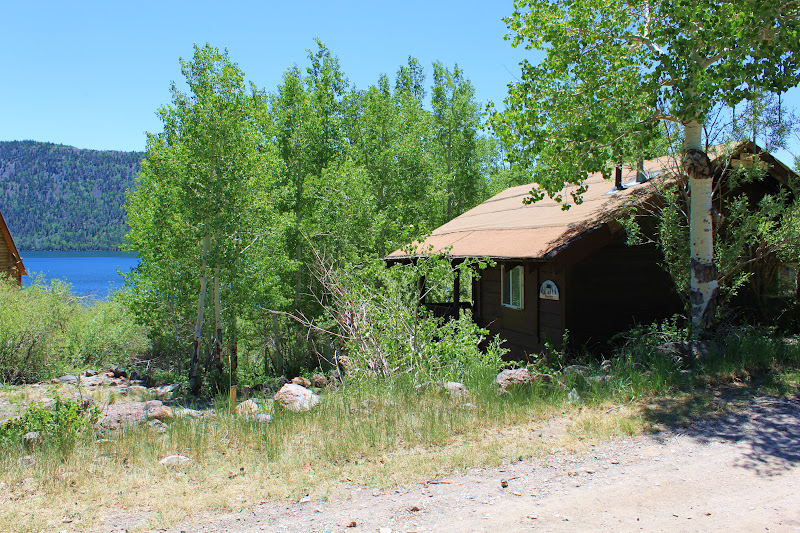 Boat Rentals At Fish Lake Utah at Wayne Tisdale blog