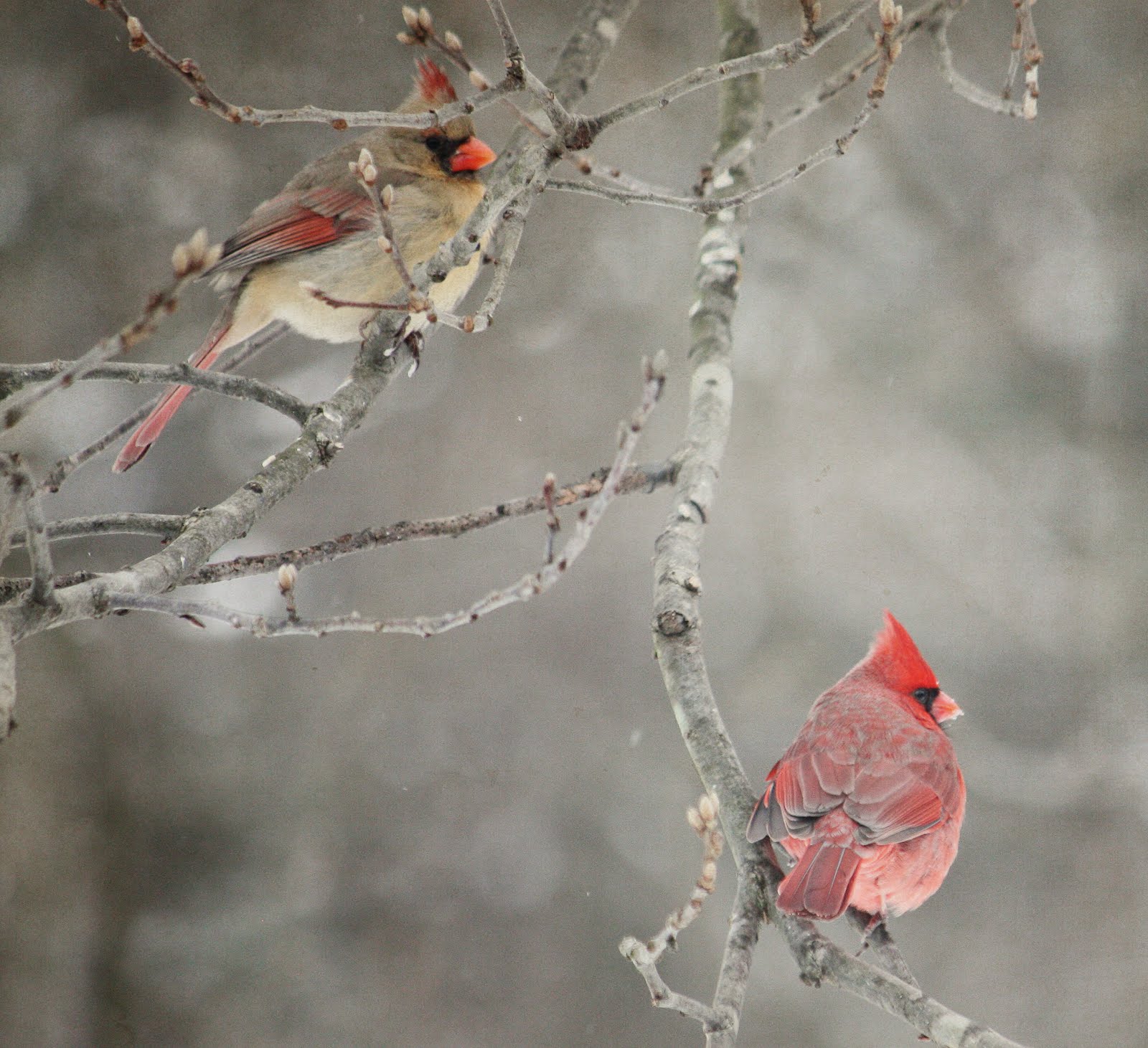 Round The Bend: Red On Valentine's Day