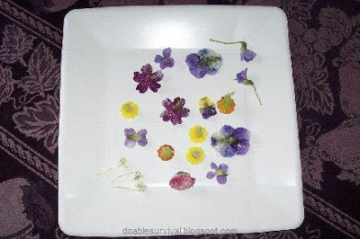 Survival and Preparedness on a Budget: How to Crystallize Flowers