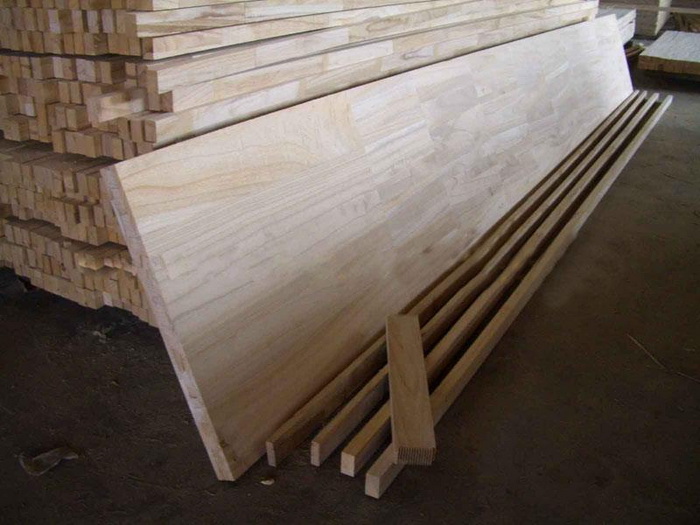 Totul pe bune: Paulownia-copac al viitorului