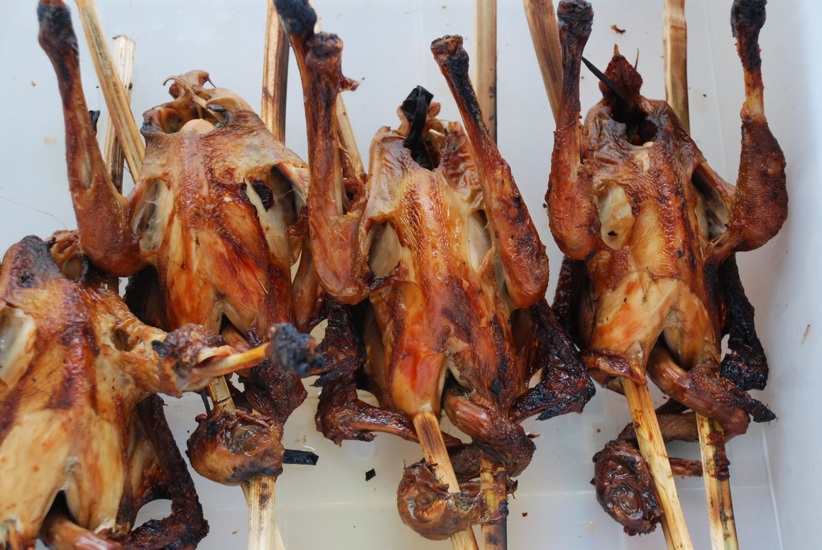 TRAVEL CENTRAL PHILIPPINES: Native Chicken