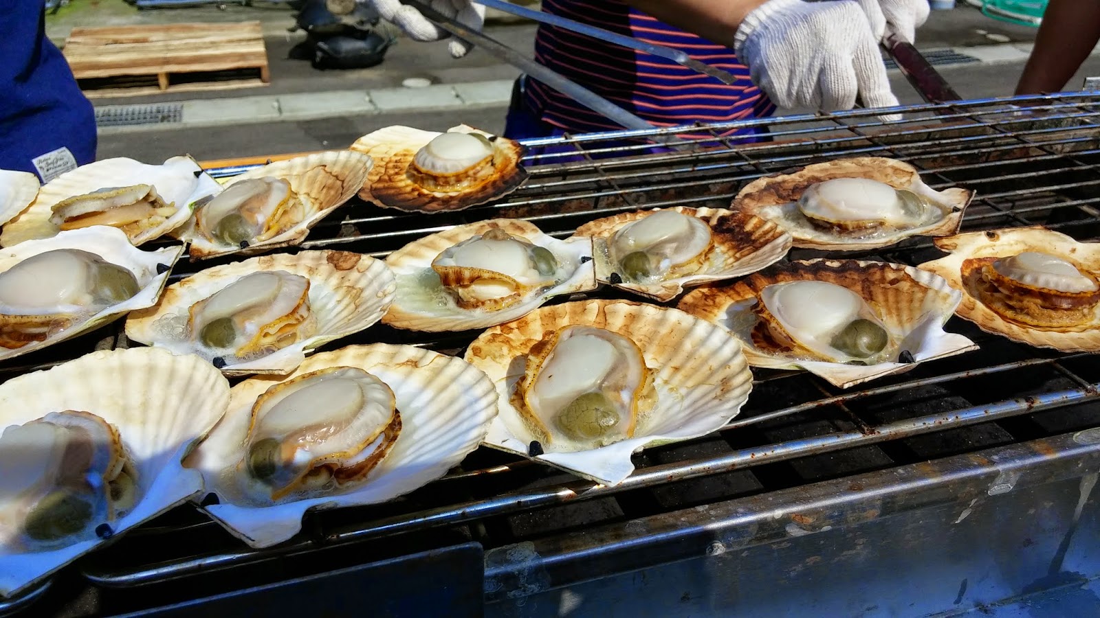 Traveling and Teaching in Rural Japan: Scalloping in Mutsu Bay