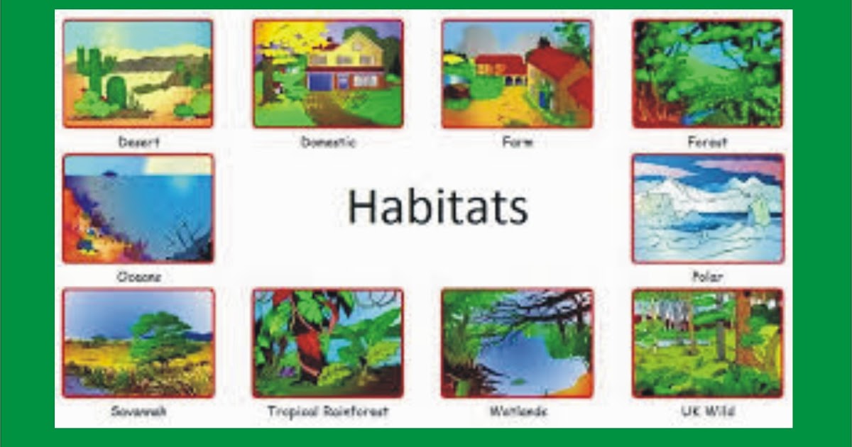 Habitat And its Types & Example