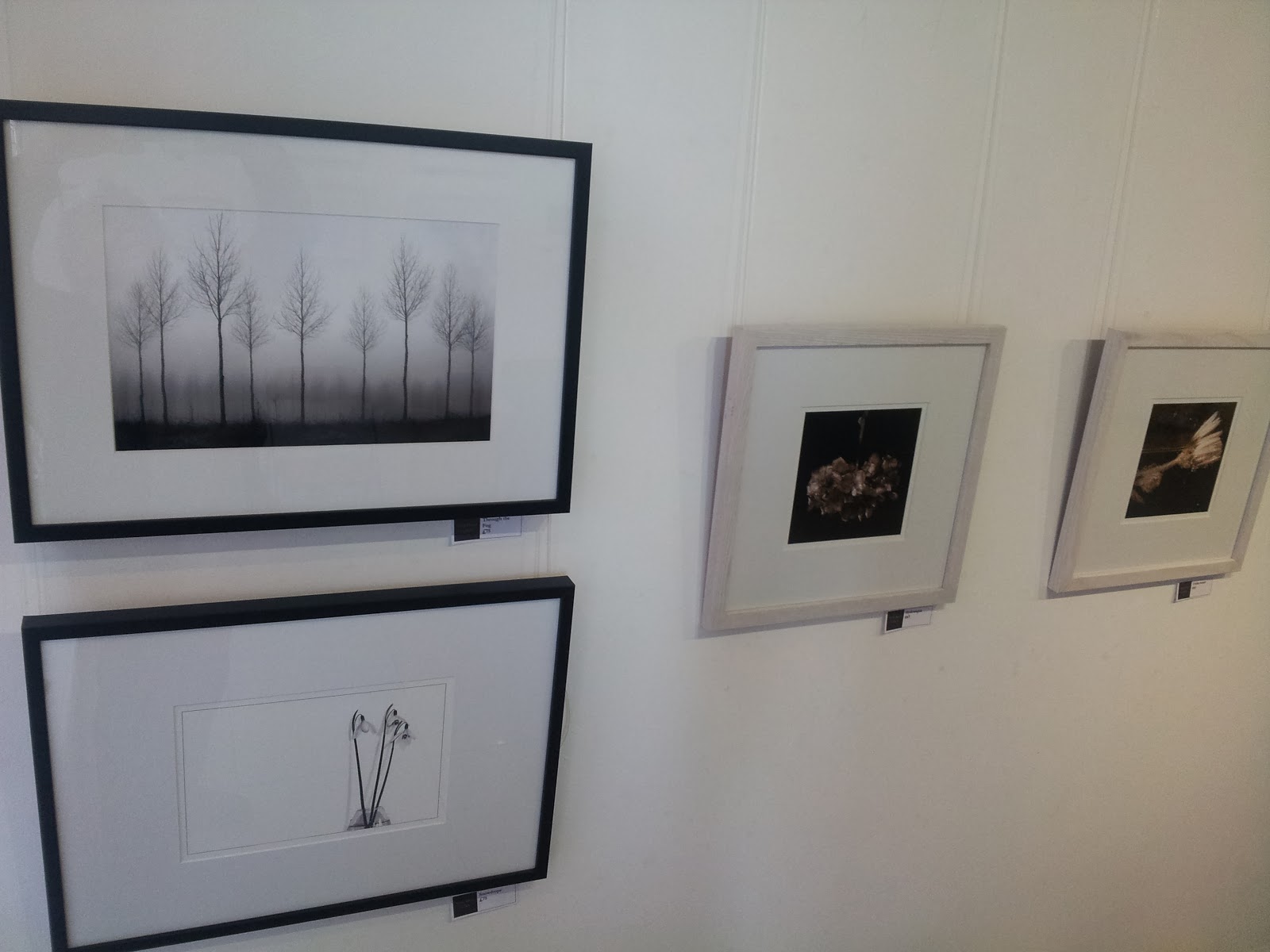 thanetonline: Cherry Larcombe Photographer Exhibition at The York ...