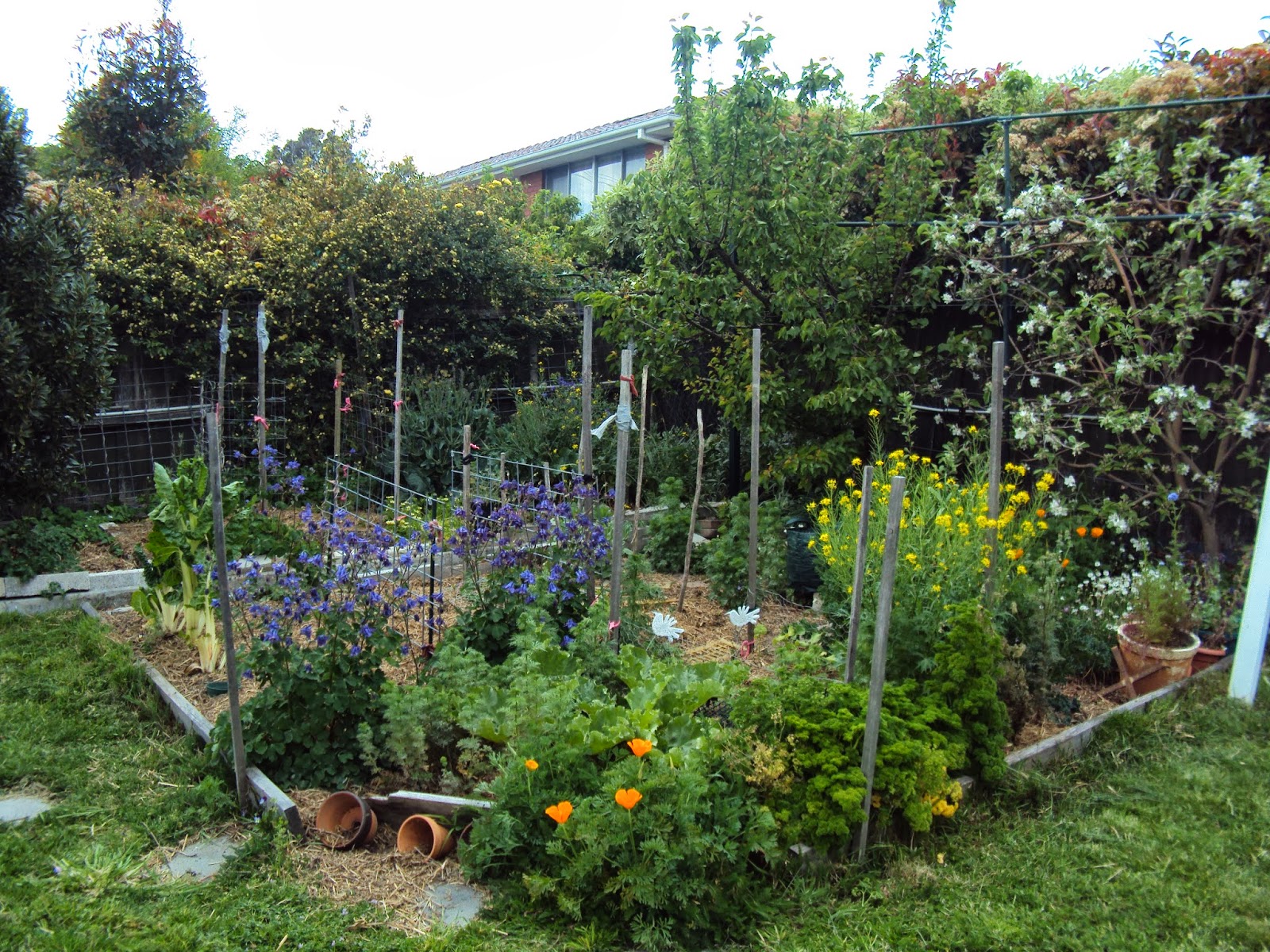 Dig In: garden share collective: november