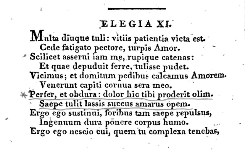 La pizarra de Lengua y Literatura: Algún día este dolor te será útil