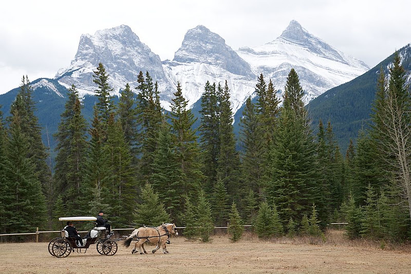 Alpine Peak Photography: Canmore Wedding Photographer - Cindy & Barry ...