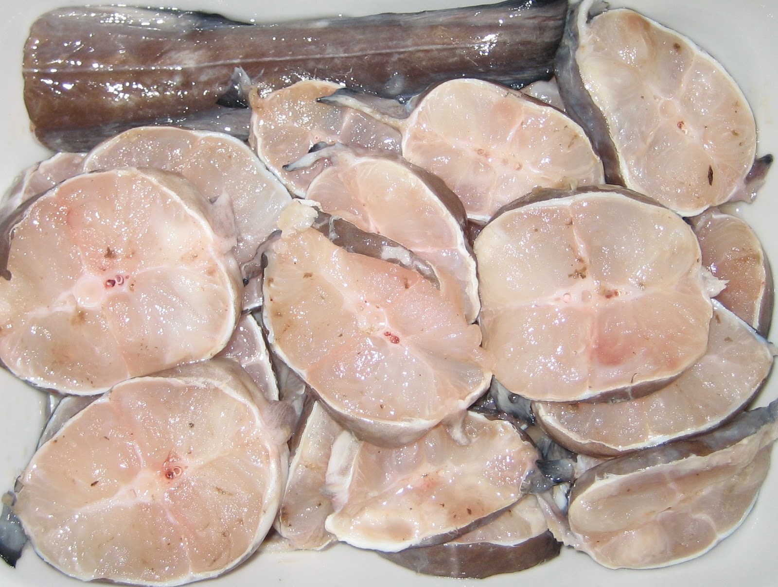 Comer e Saber: CONGRO FRITO