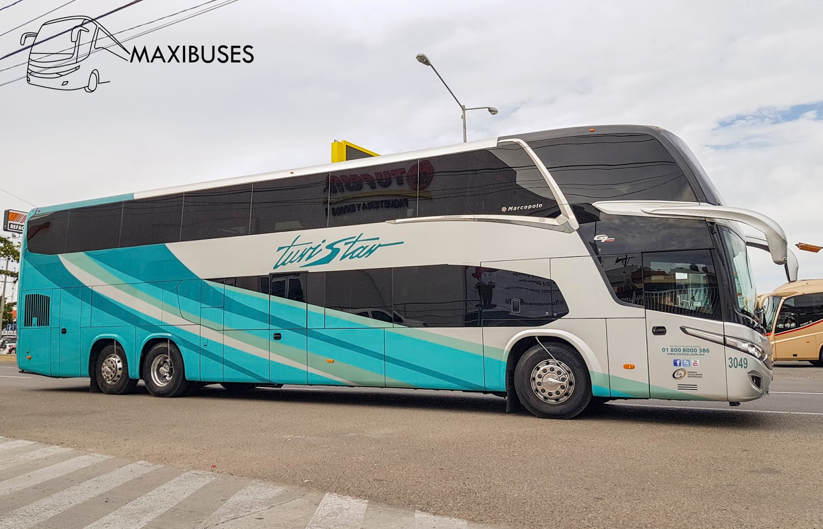 MAXIBUSES: TURISTAR